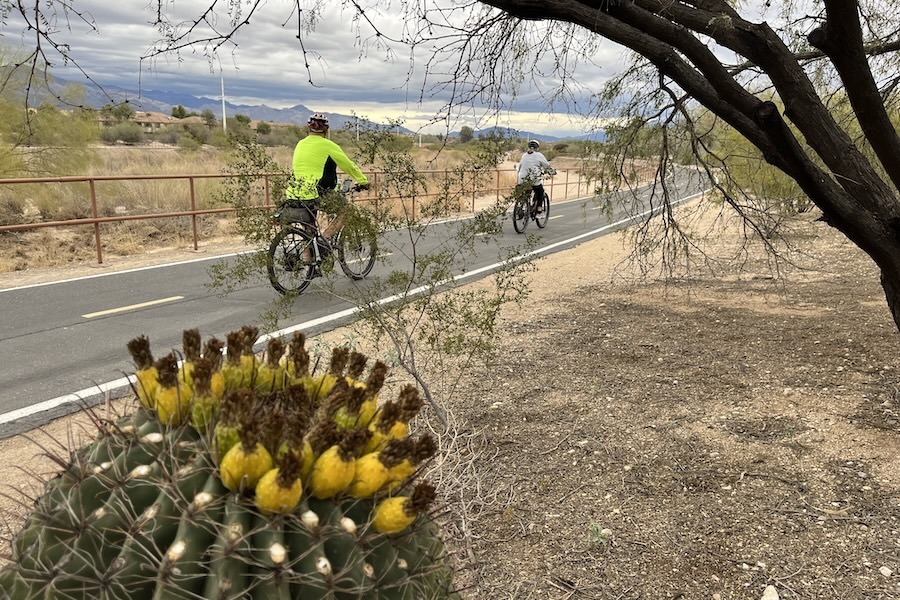 Arizona’s Rillito River Park Trail | Feb 2025 Trail of the Month ...