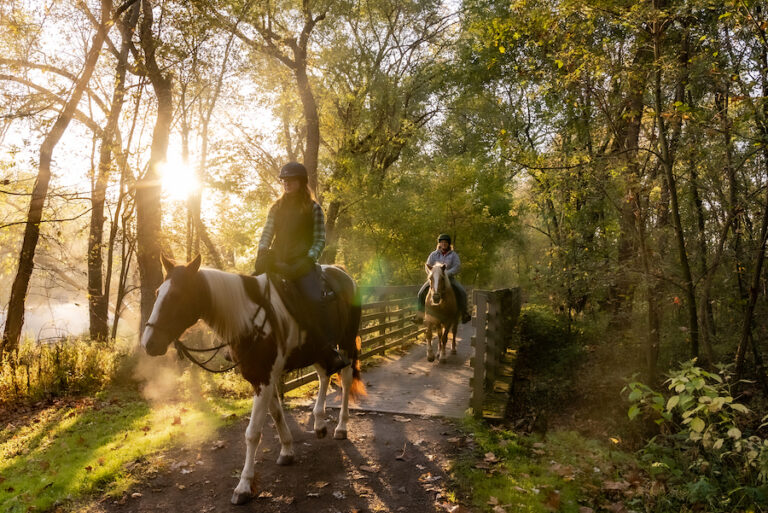 Of History and Industry: The Legacy of the Ohio & Erie Canal Towpath ...