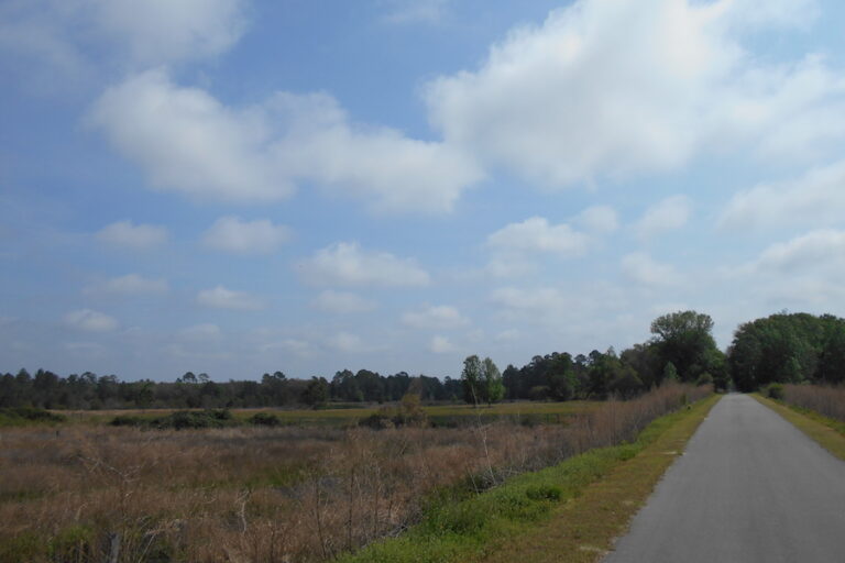 Florida’s Palatka-to-Lake Butler State Trail - Rails to Trails ...