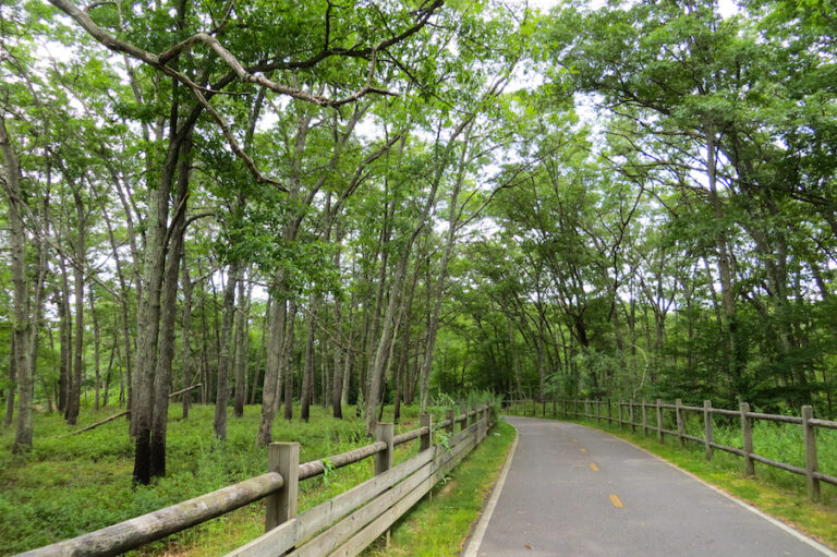 Top 10 Trails in Rhode Island - Rails to Trails Conservancy | Rails to ...