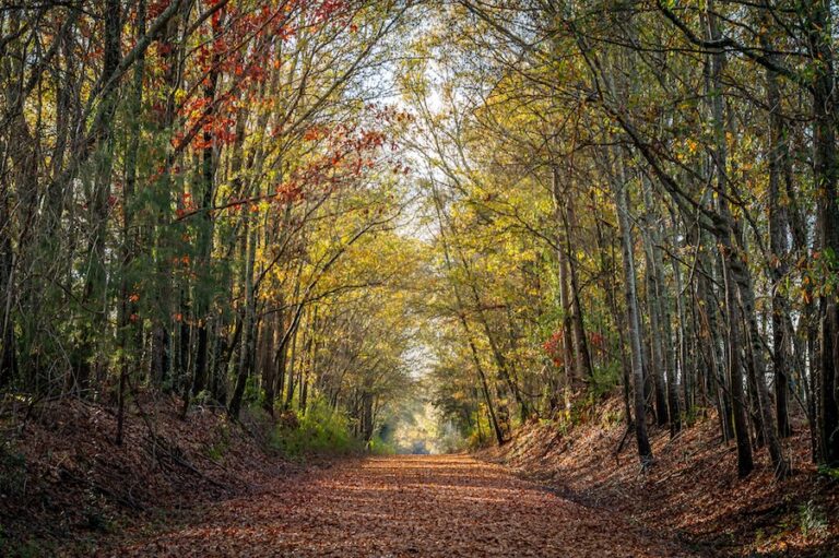 Georgia’s Cricket Frog Trail - Rails to Trails Conservancy | Rails to ...